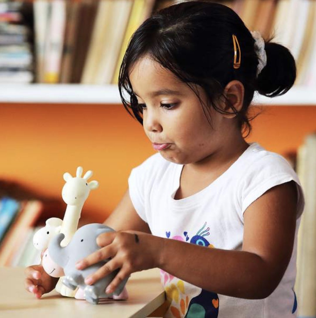 My First Tikiri Safari – Tikiri Toys Sri Lanka